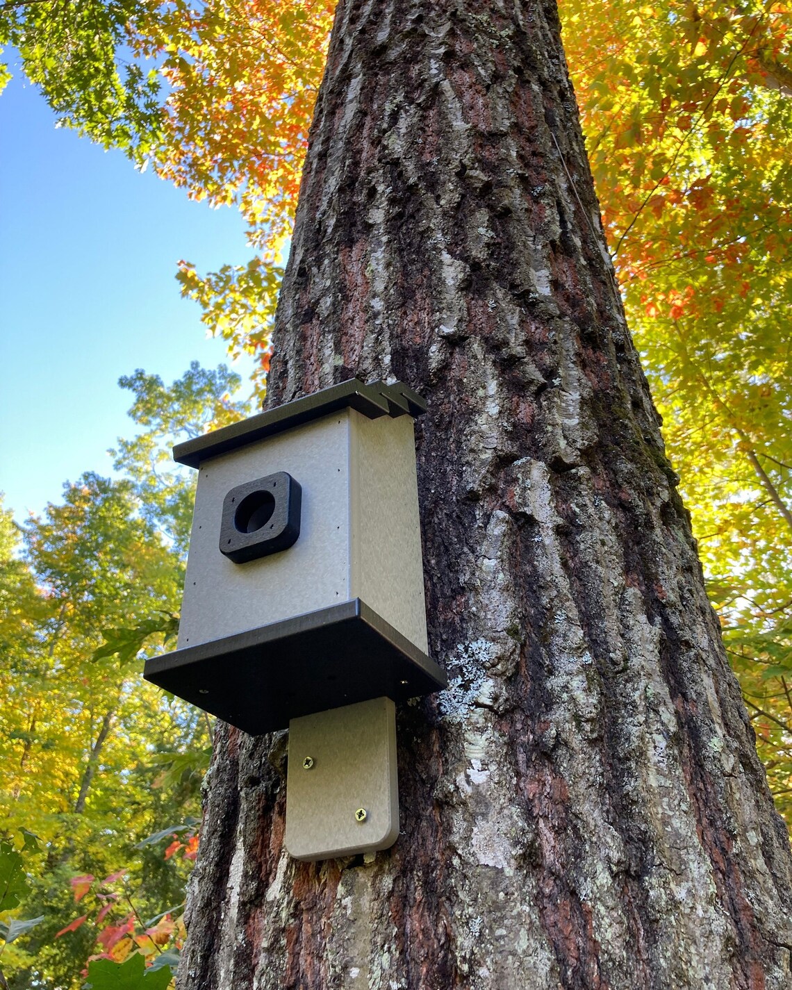 Square Back-mount Birdhouse Gray With Black Roof. - Etsy