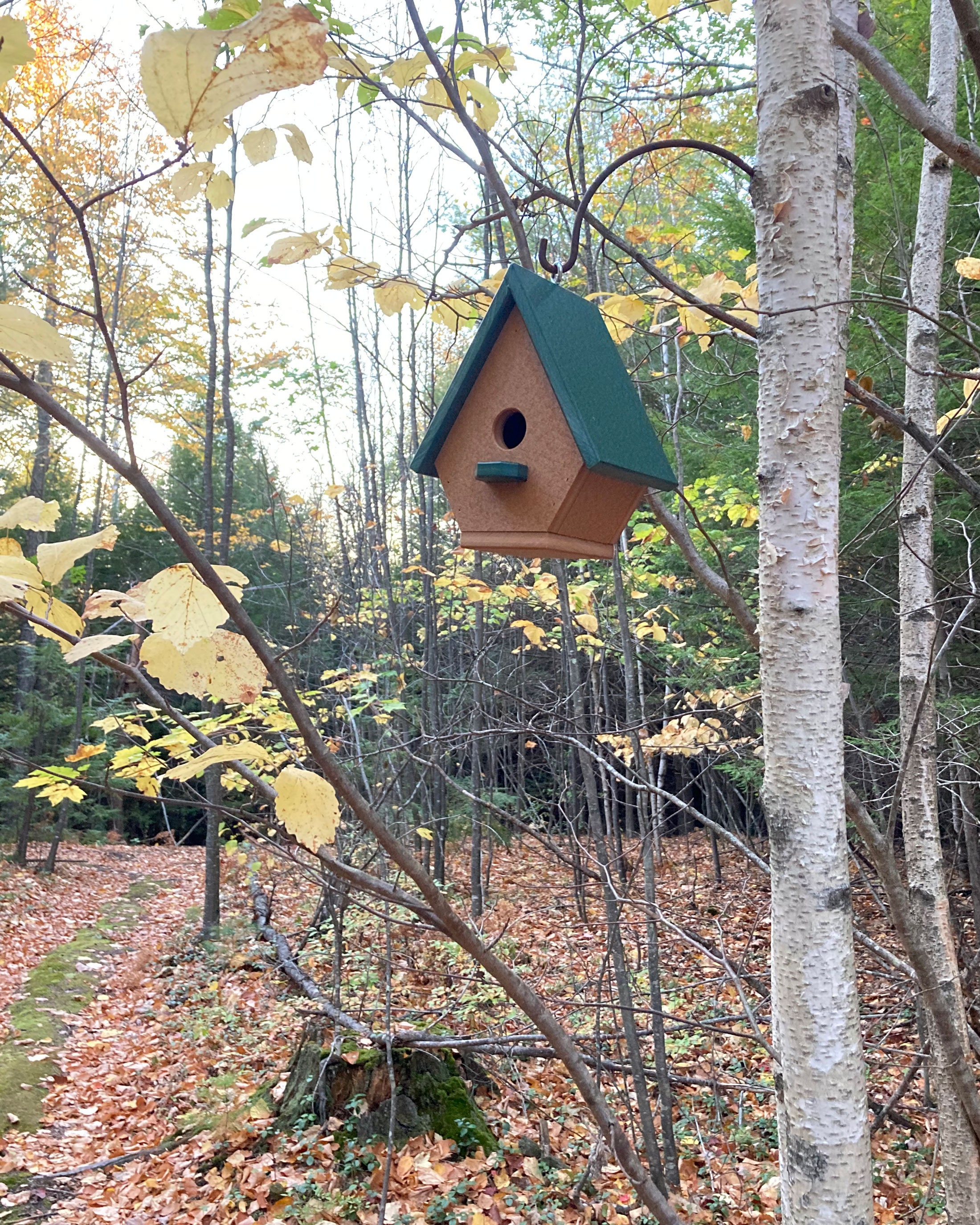 Classic Wren Poly Birdhouse Cedar with Green Roof | Etsy