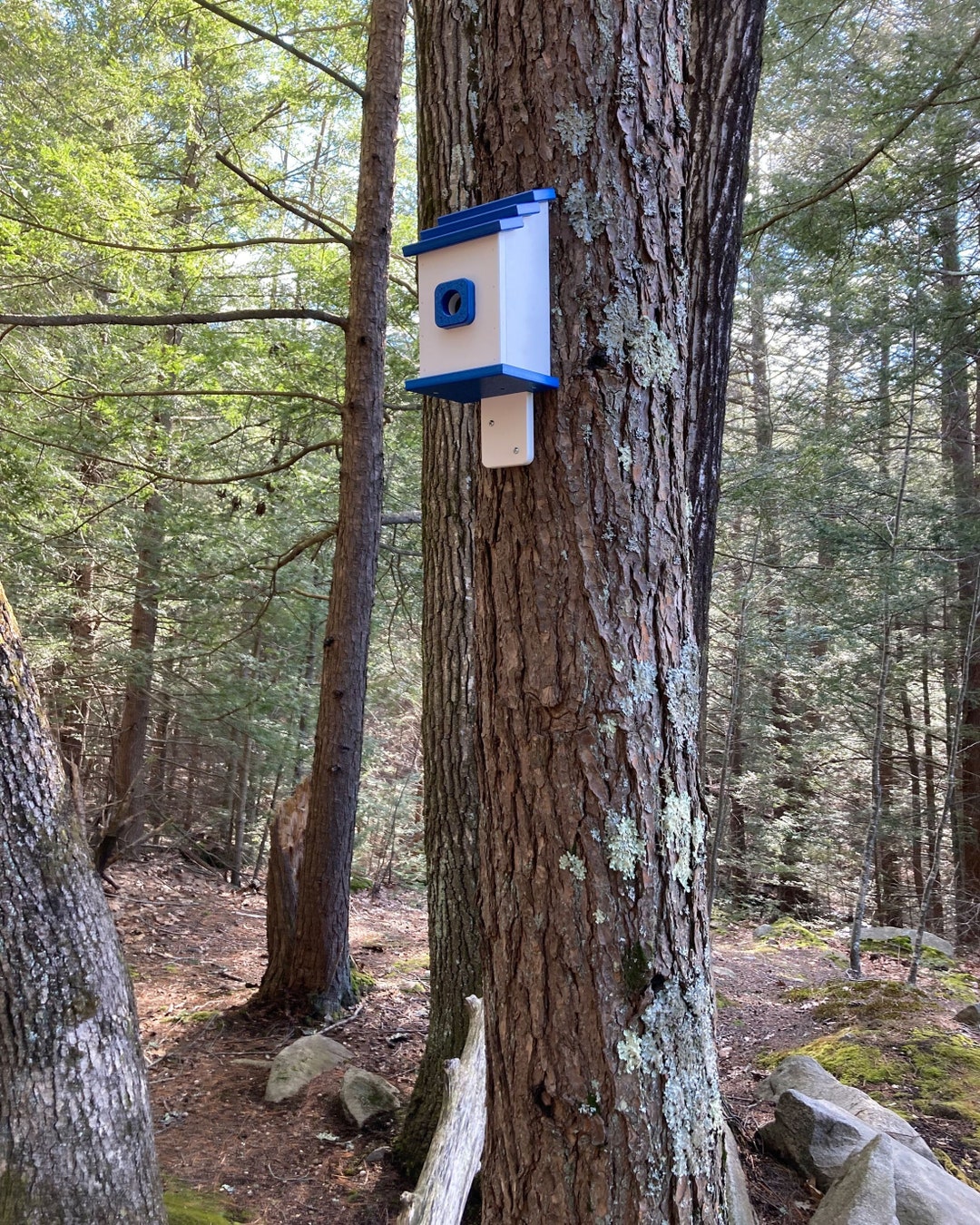 Square Back-mount Birdhouse, White With Royal Blue Roof - Etsy
