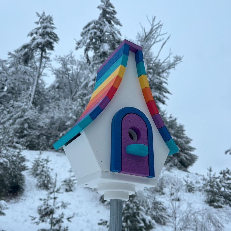 Whimsical Birdhouse - Etsy