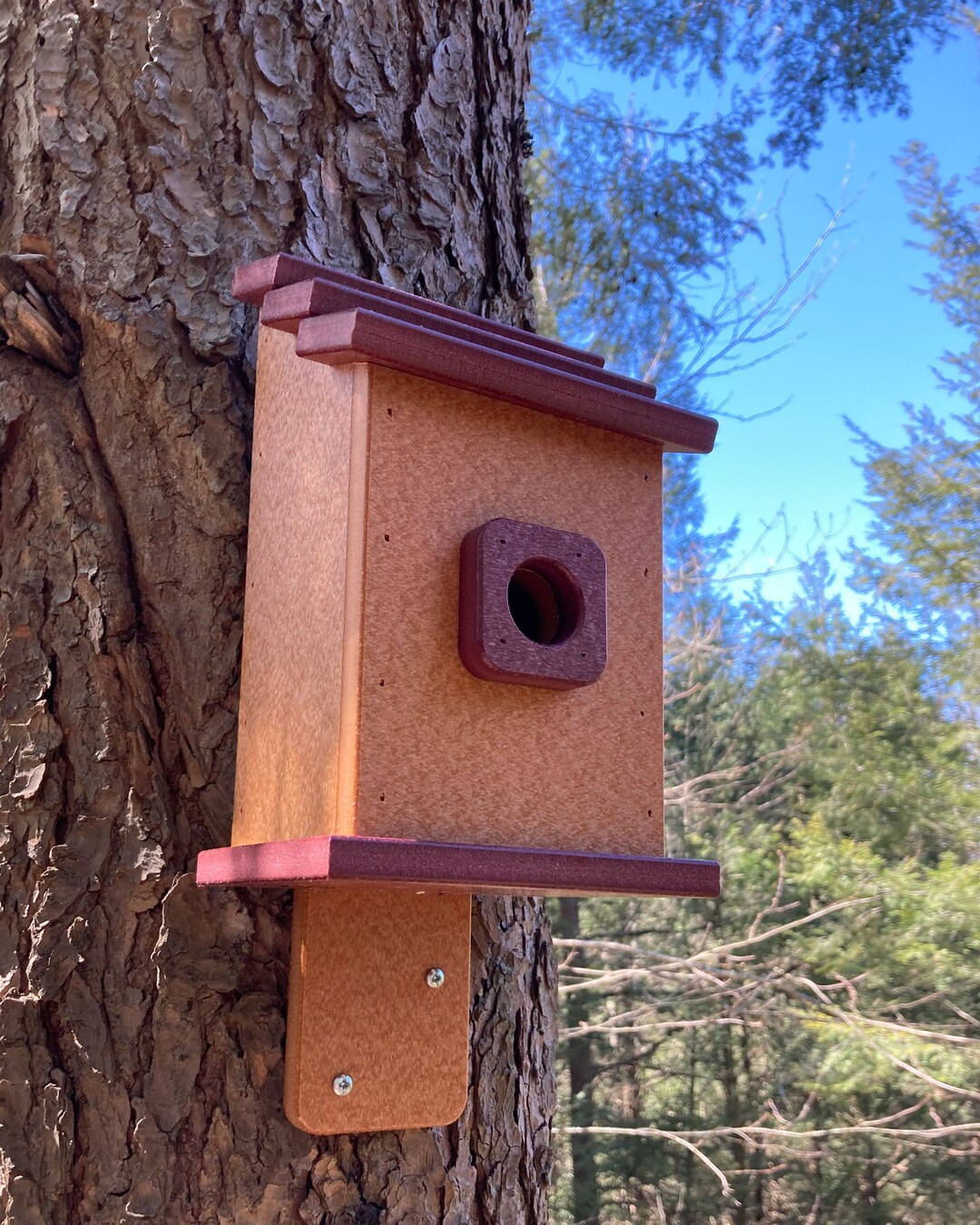Square Back-mount Birdhouse, Cedar Colored Poly Lumber With Maroon Roof ...