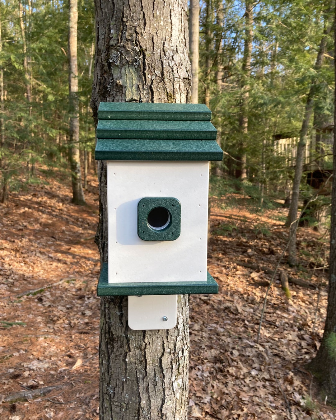 Square Back-mount Birdhouse, White With Green Roof - Etsy