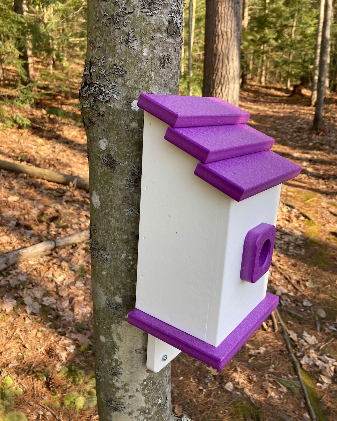 Square Back-mount Birdhouse White With Purple Roof - Etsy