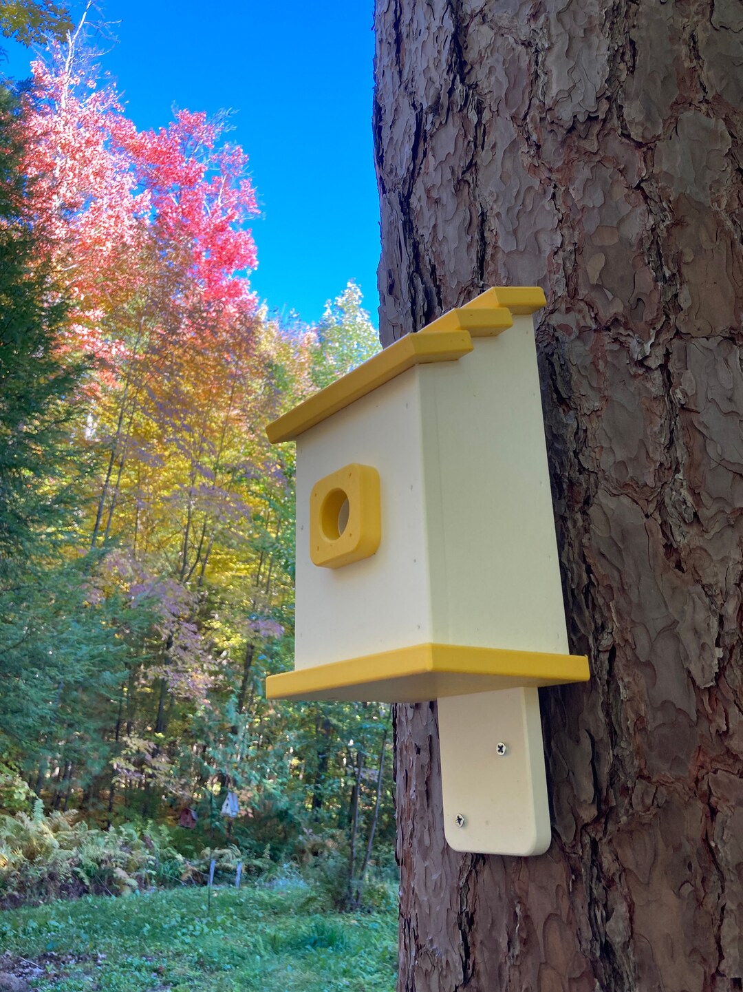 Square Back-mount Birdhouse, White With Yellow Roof - Etsy