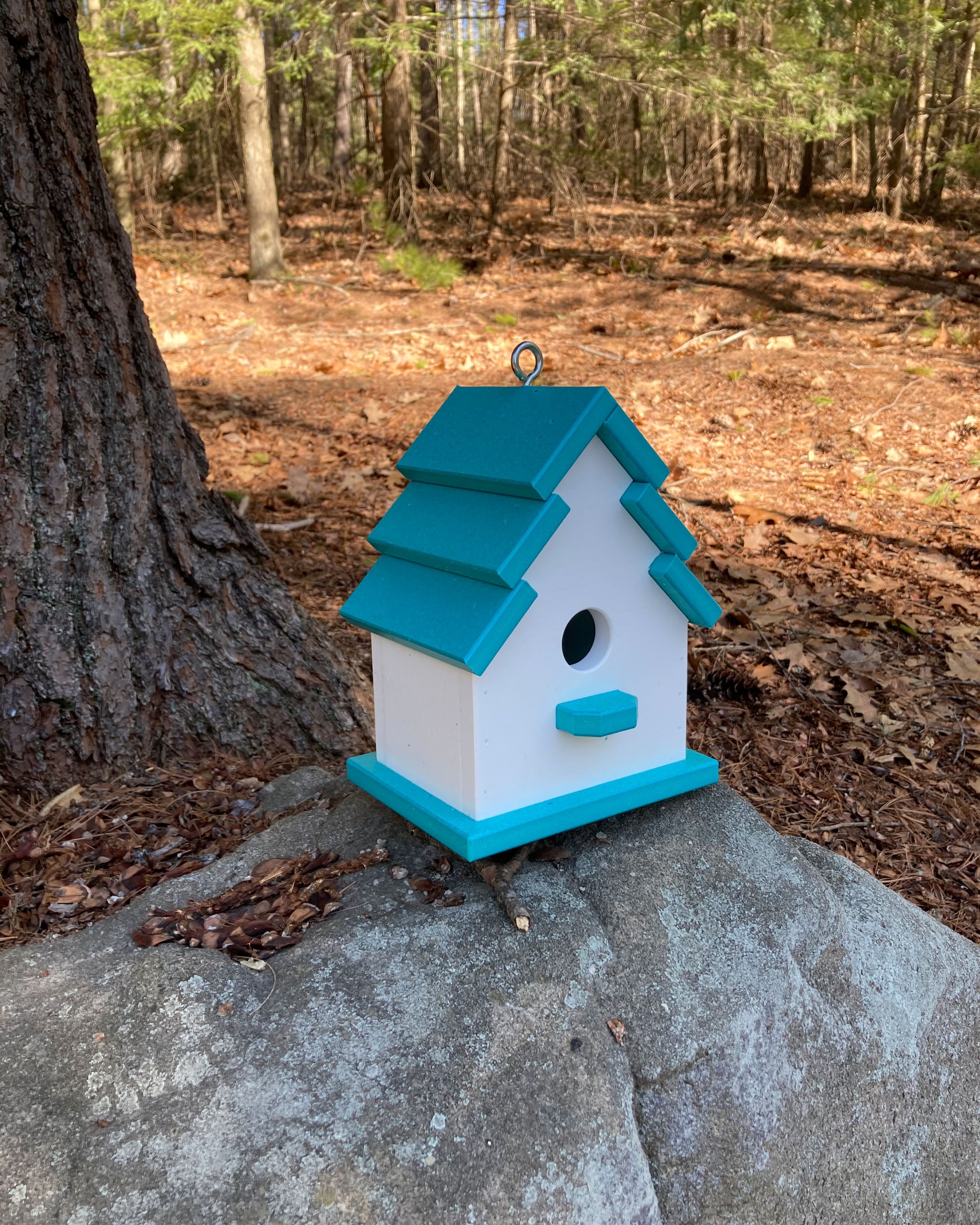 Traditional Eco-Friendly Poly Birdhouse White with Aqua Blue | Etsy