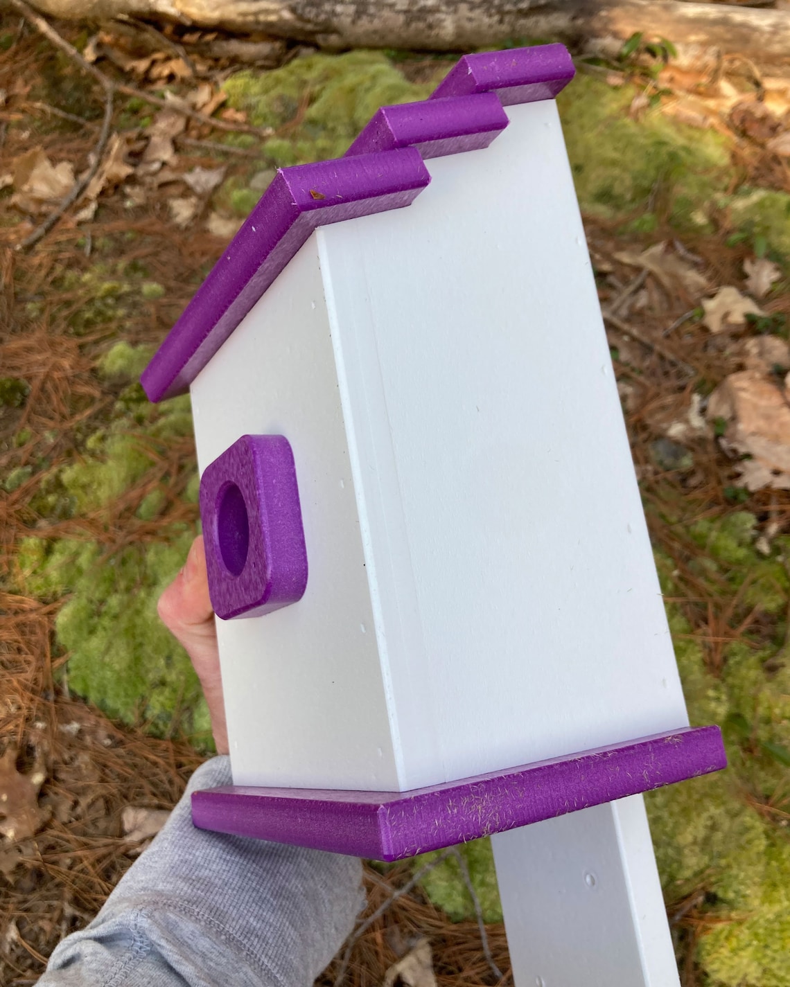 Square Back-mount Birdhouse White With Purple Roof - Etsy