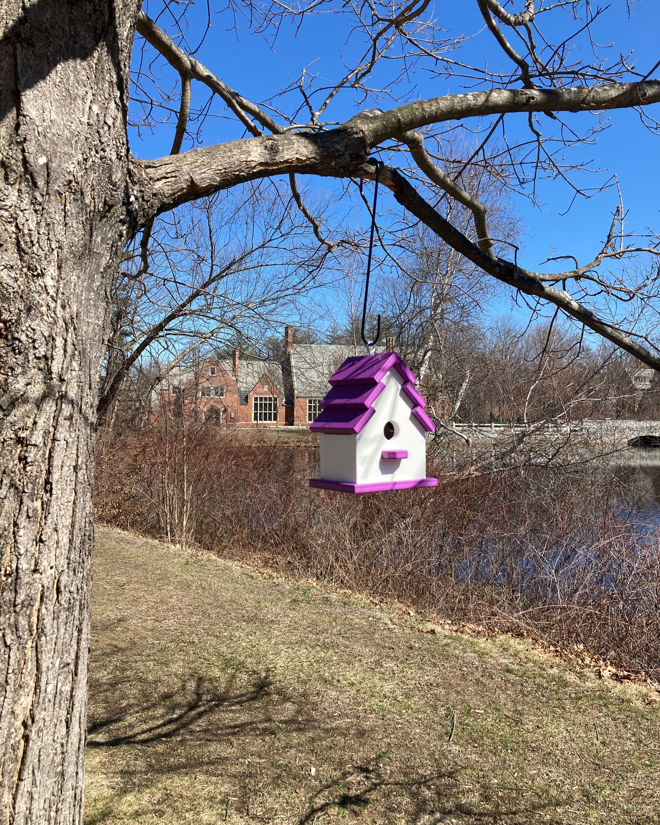 Traditional Recycled Poly Lumber Birdhouse, White With Purple Roof - Etsy