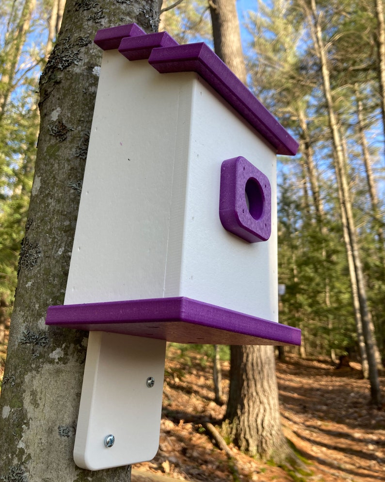 Square Back-mount Birdhouse White With Purple Roof - Etsy