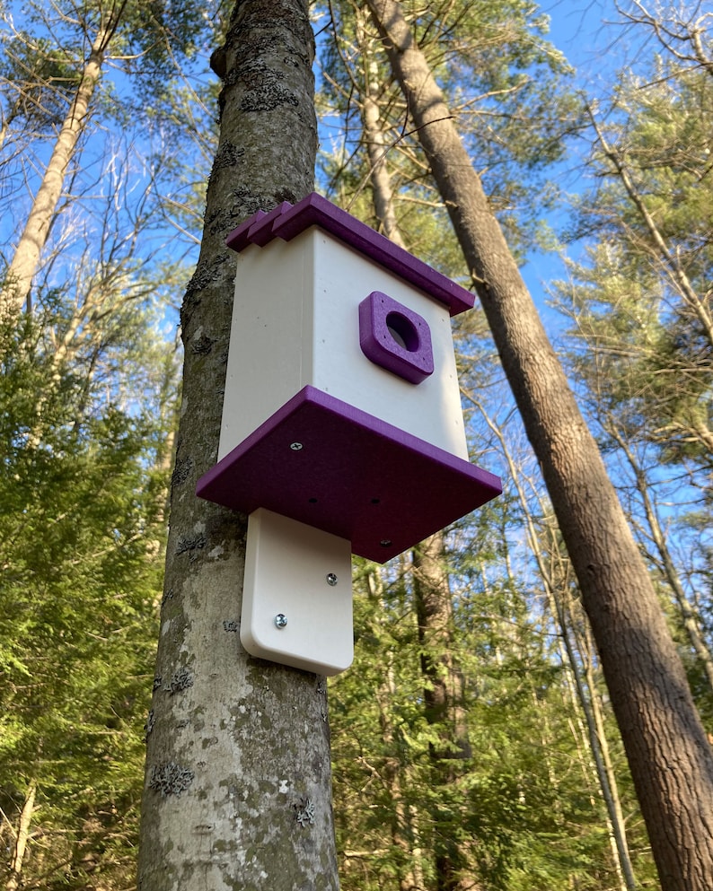 Square Back-mount Birdhouse White With Purple Roof - Etsy
