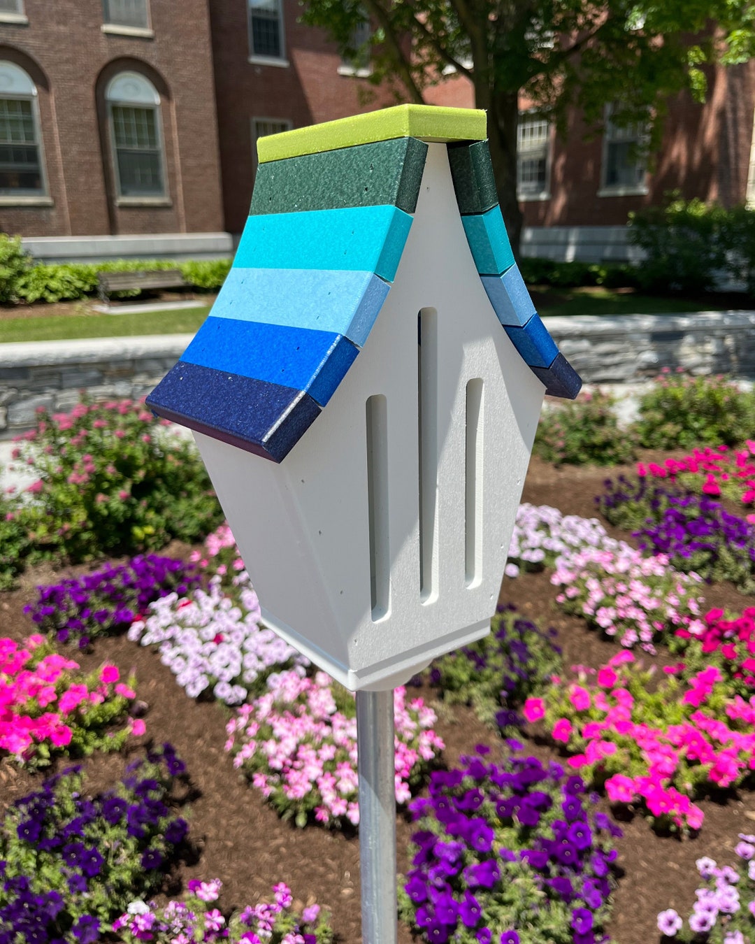 Butterfly House, White With Lime, Green, Aqua, Sky, Royal, and Navy ...