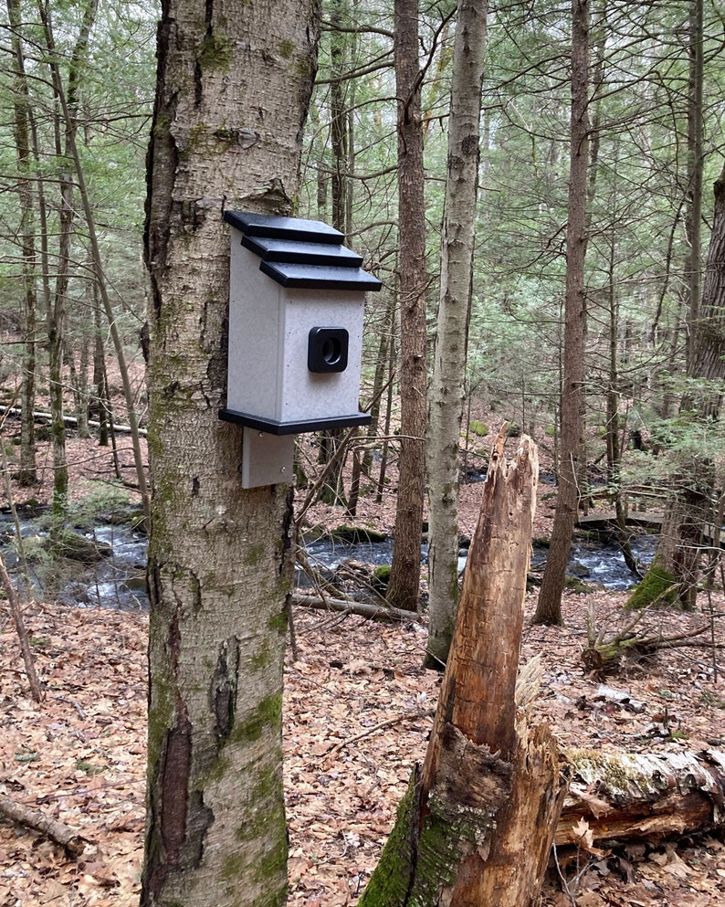 Square Back-mount Birdhouse Gray With Black Roof. - Etsy