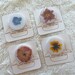 Pressed Flower Pop Sockets - Etsy