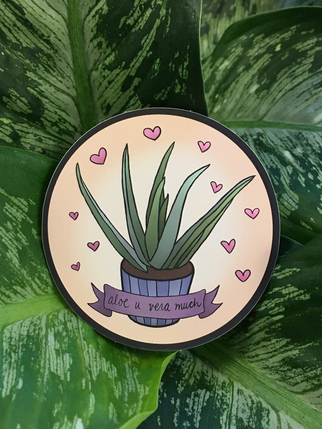 Aloe U Vera Much Sticker 3”x3” - Etsy