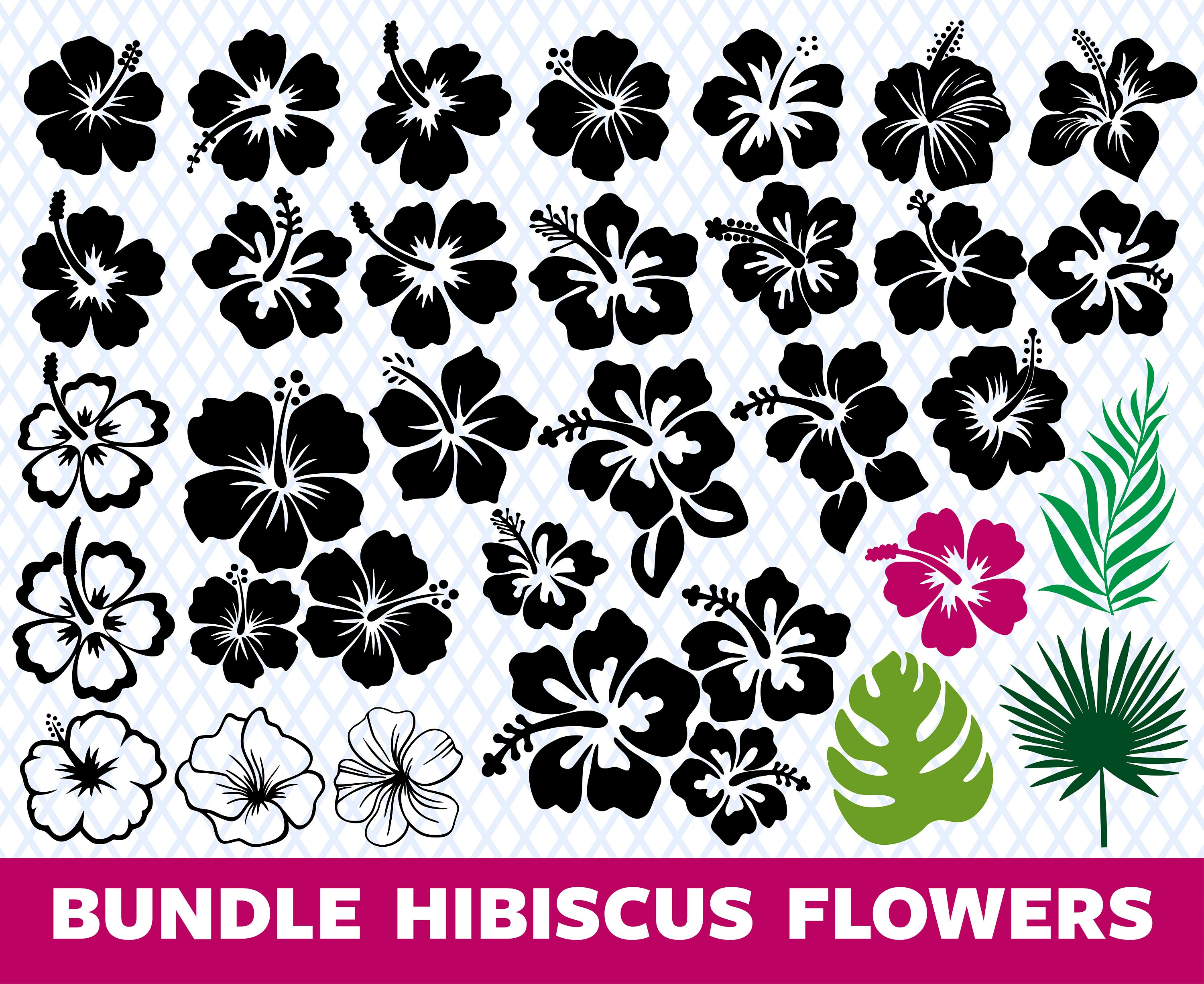 Hibiscus Flower Svg Png Cricut Hibiscus Flower Hibiscus Flower - Etsy