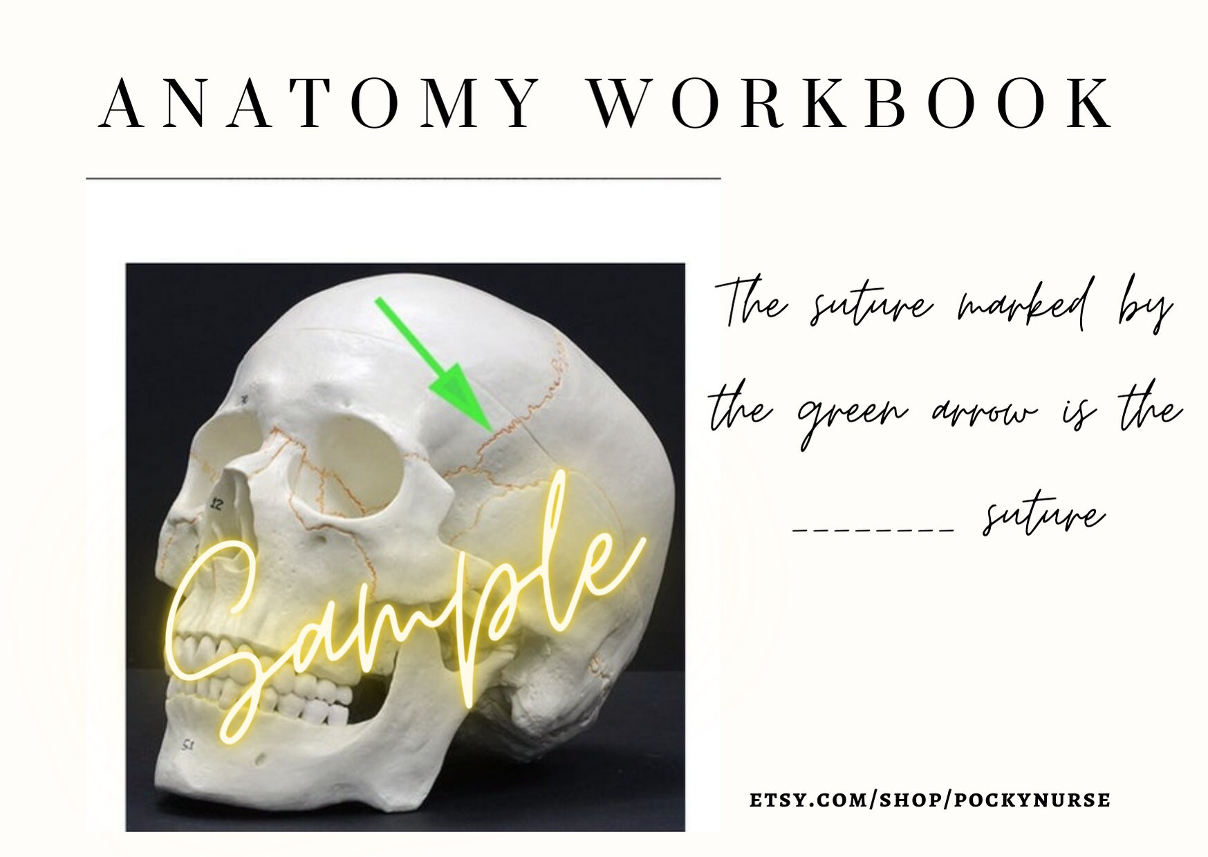 Anatomy Study Guide Workbook for Pre-nursing Students | Over 300+ PDF ...