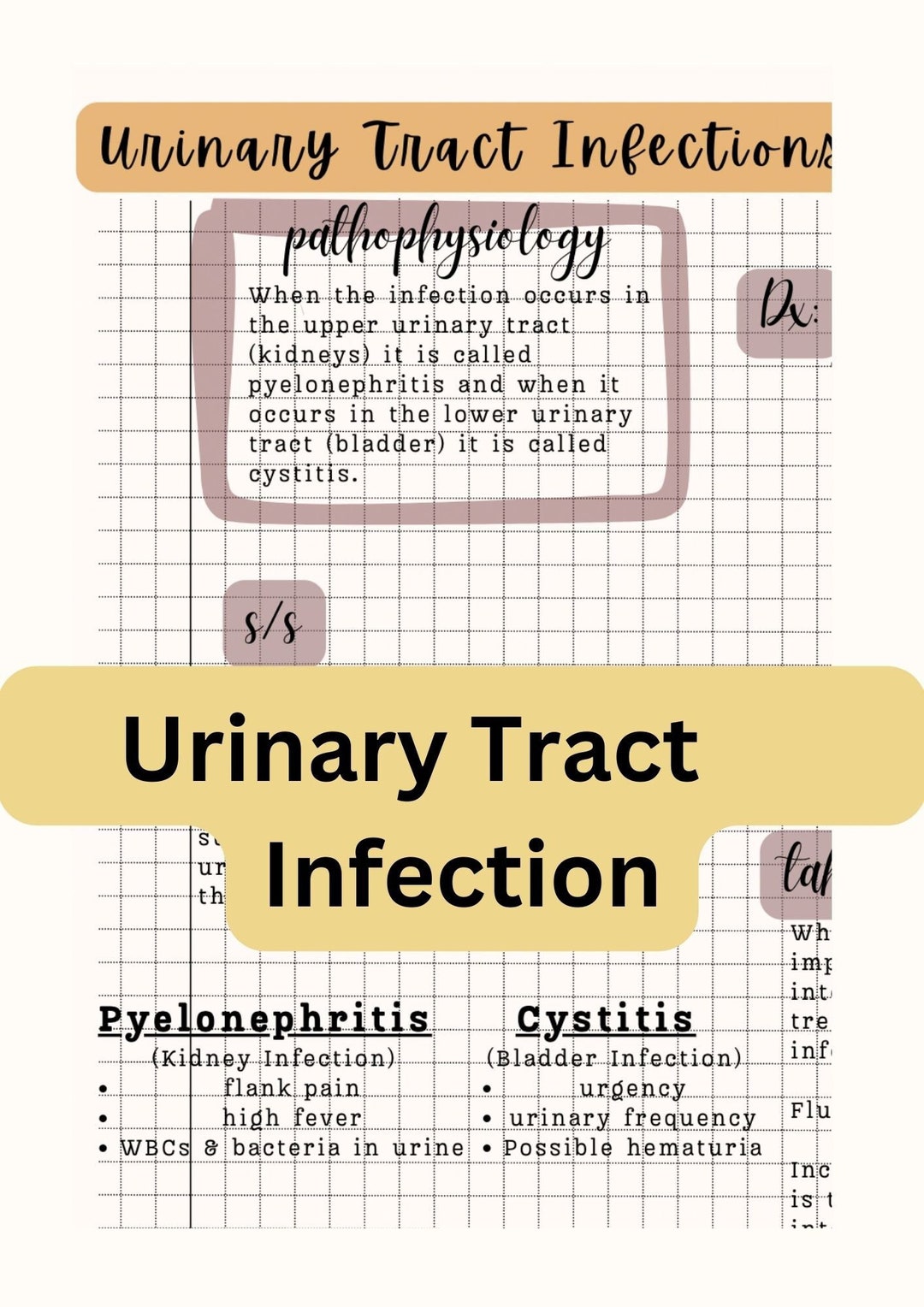 Urinary Tract Infection UTI Review Nursing School Notes - Etsy