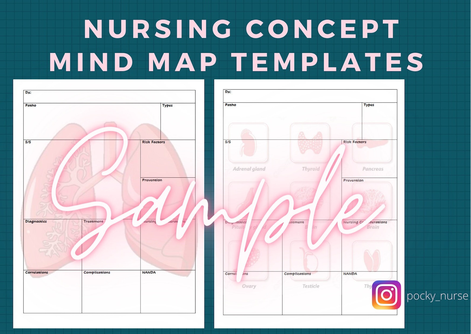 Nursing School Concept Map Study Template for Nurse Student - Etsy