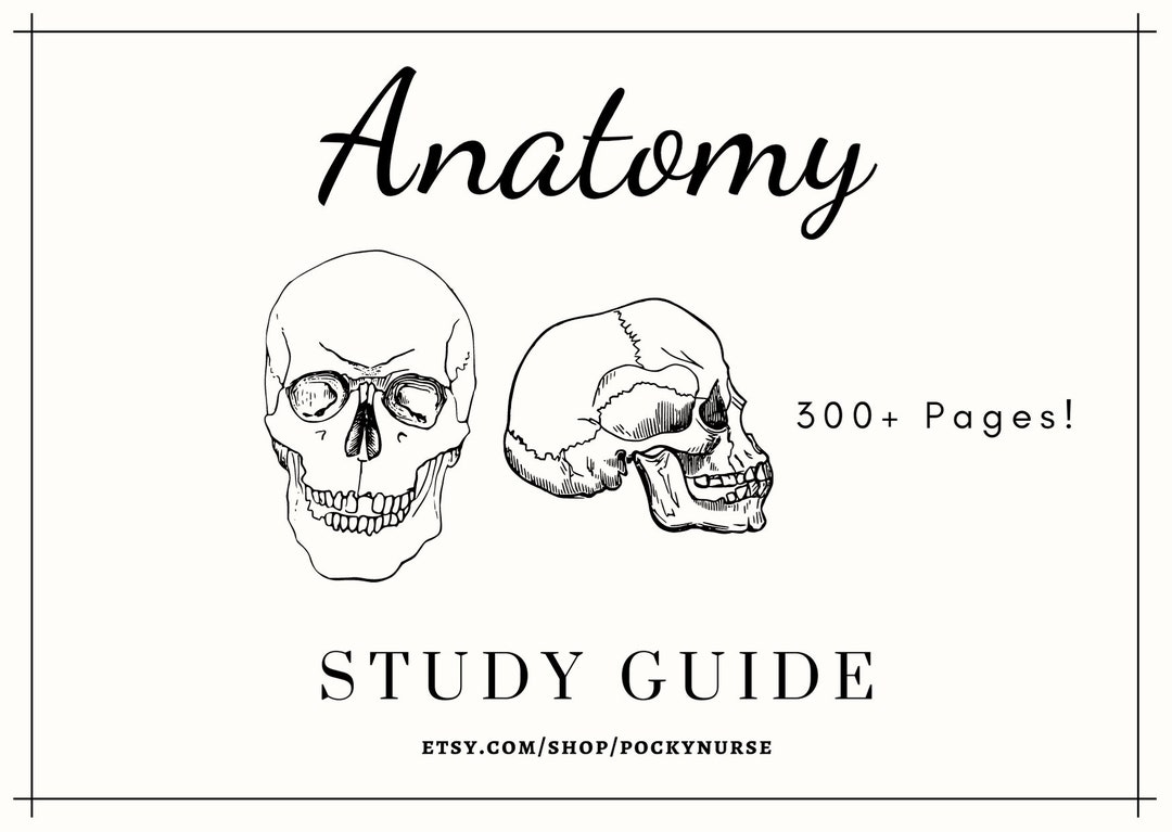 Anatomy Study Guide Workbook for Pre-nursing Students | Over 300+ PDF ...