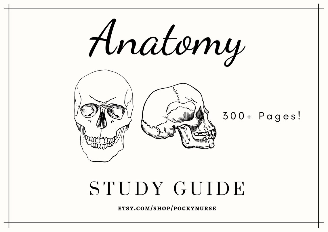Anatomy Study Guide Workbook for Pre-nursing Students | Over 300+ PDF ...