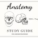 Anatomy Study Guide Workbook for Pre-nursing Students | Over 300+ PDF ...