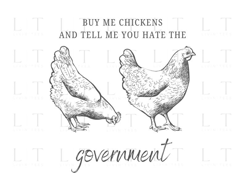PNG Buy Me Chickens and Tell Me You Hate the Government // Chicken PNG ...