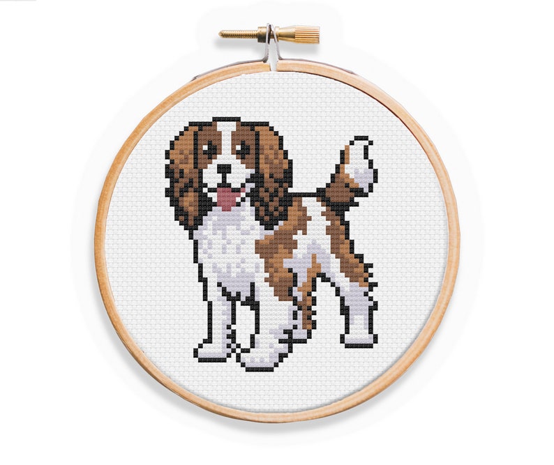 Springer Spaniel Cross Stitch Pattern Brown White Spaniel 4 Cross ...