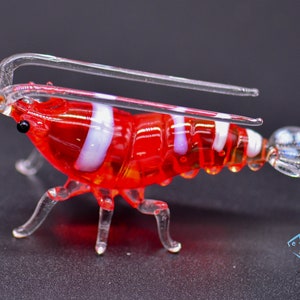 Ornamental Shrimp Glass Ornament - Etsy