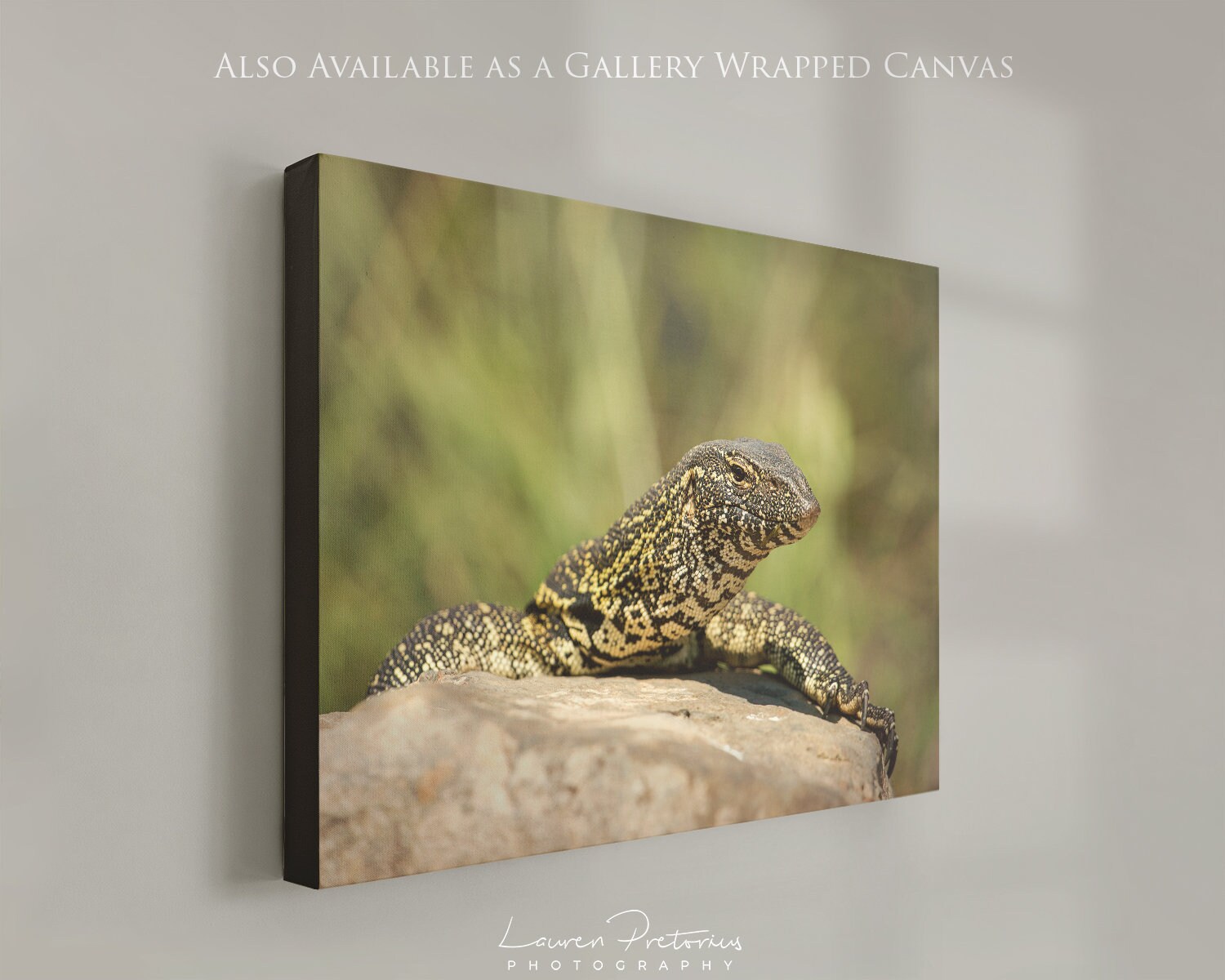 Monitor Lizard Wildlife Photography Animal Photo Print - Etsy
