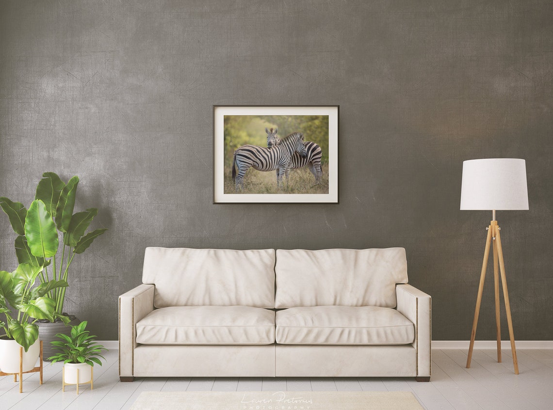 Zebra Hug Wildlife Photography Animal Photo Print Nature | Etsy