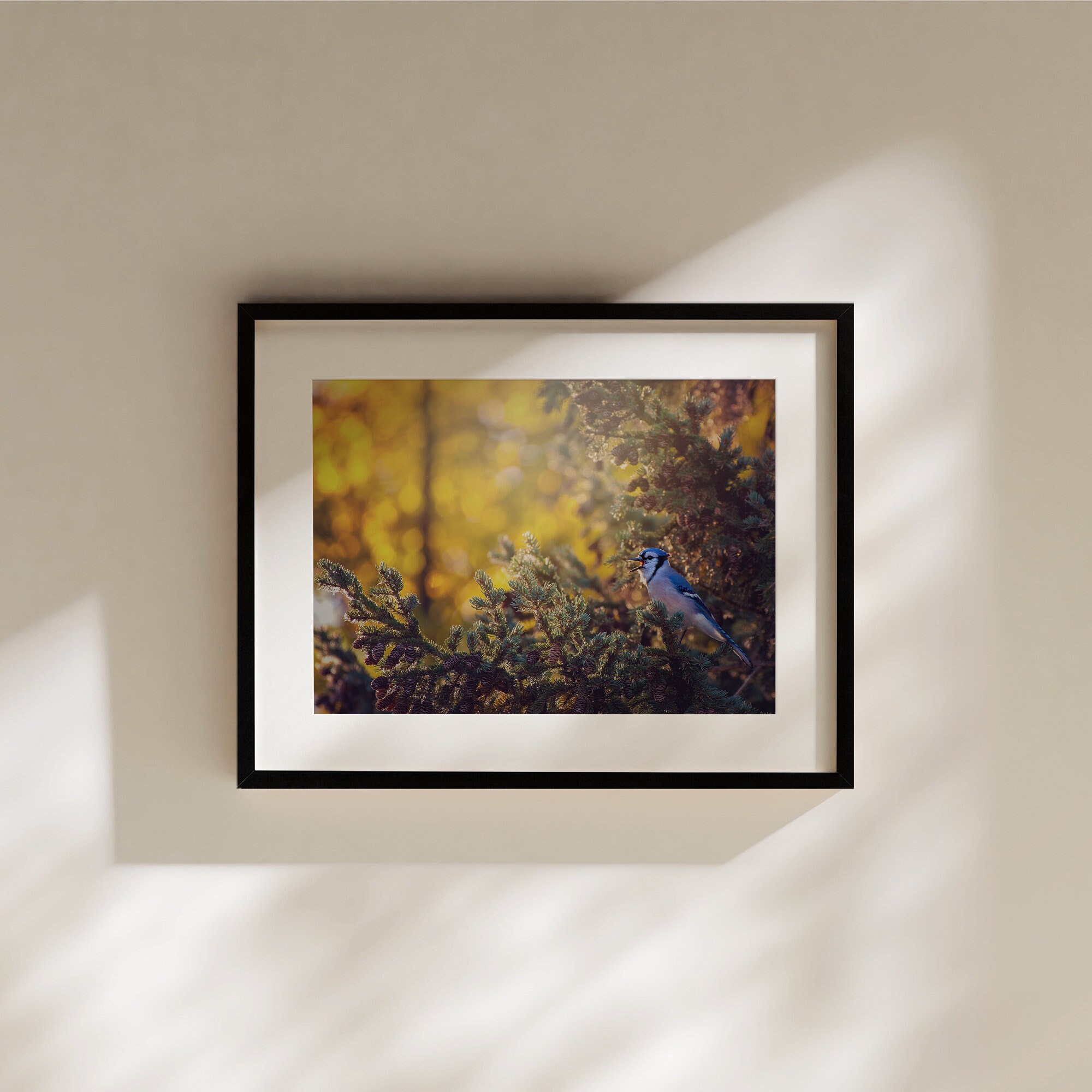 Blue Jay, Autumn Fall Wildlife Photography Decor, Animal Photo Print ...