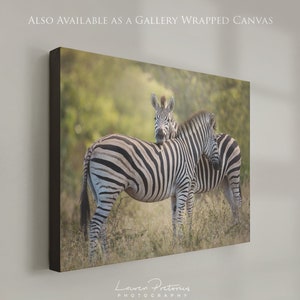 Zebra Hug Wildlife Photography Animal Photo Print Nature - Etsy