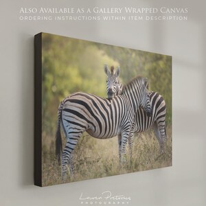 Zebra Hug Wildlife Photography Animal Photo Print Nature - Etsy