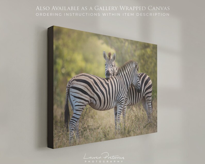 Zebra Hug Wildlife Photography Animal Photo Print Nature | Etsy