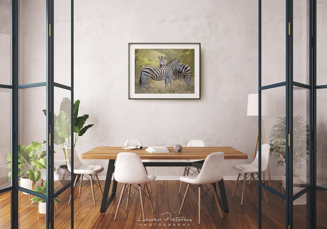 Zebra Hug Wildlife Photography Animal Photo Print Nature | Etsy