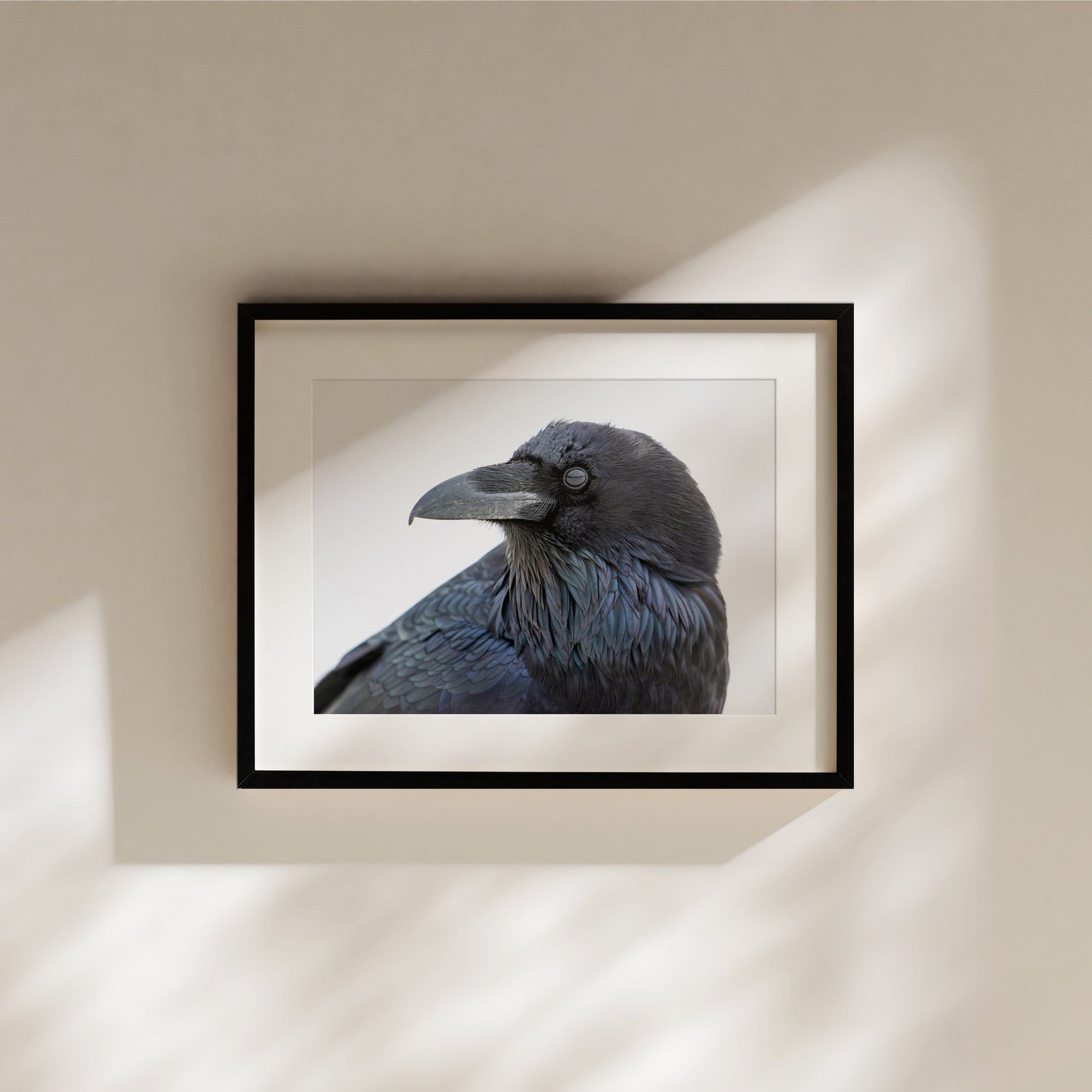 Raven, Wildlife Photography, Winter Bird Animal Photo Print, Nature ...