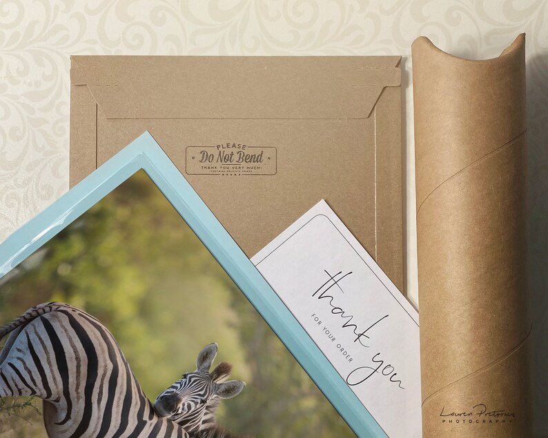 Zebra Hug Wildlife Photography Animal Photo Print Nature | Etsy