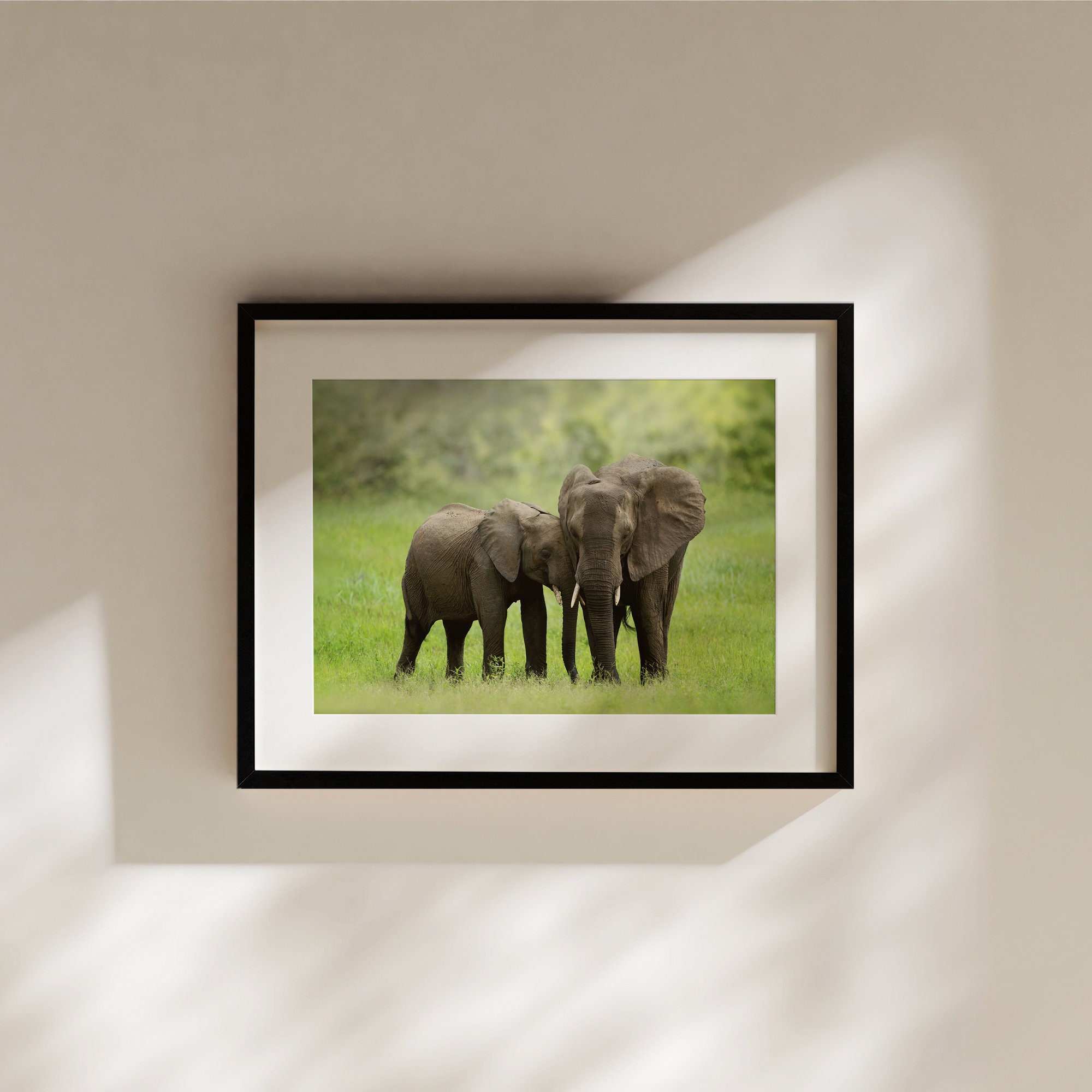 African Elephant Pair, Wildlife Photography, Animal Photo Print, Nature ...
