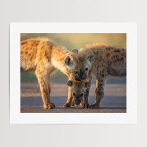 Sunrise Hyena Trio, Wildlife Photography, Animal Photo Print, Nature ...