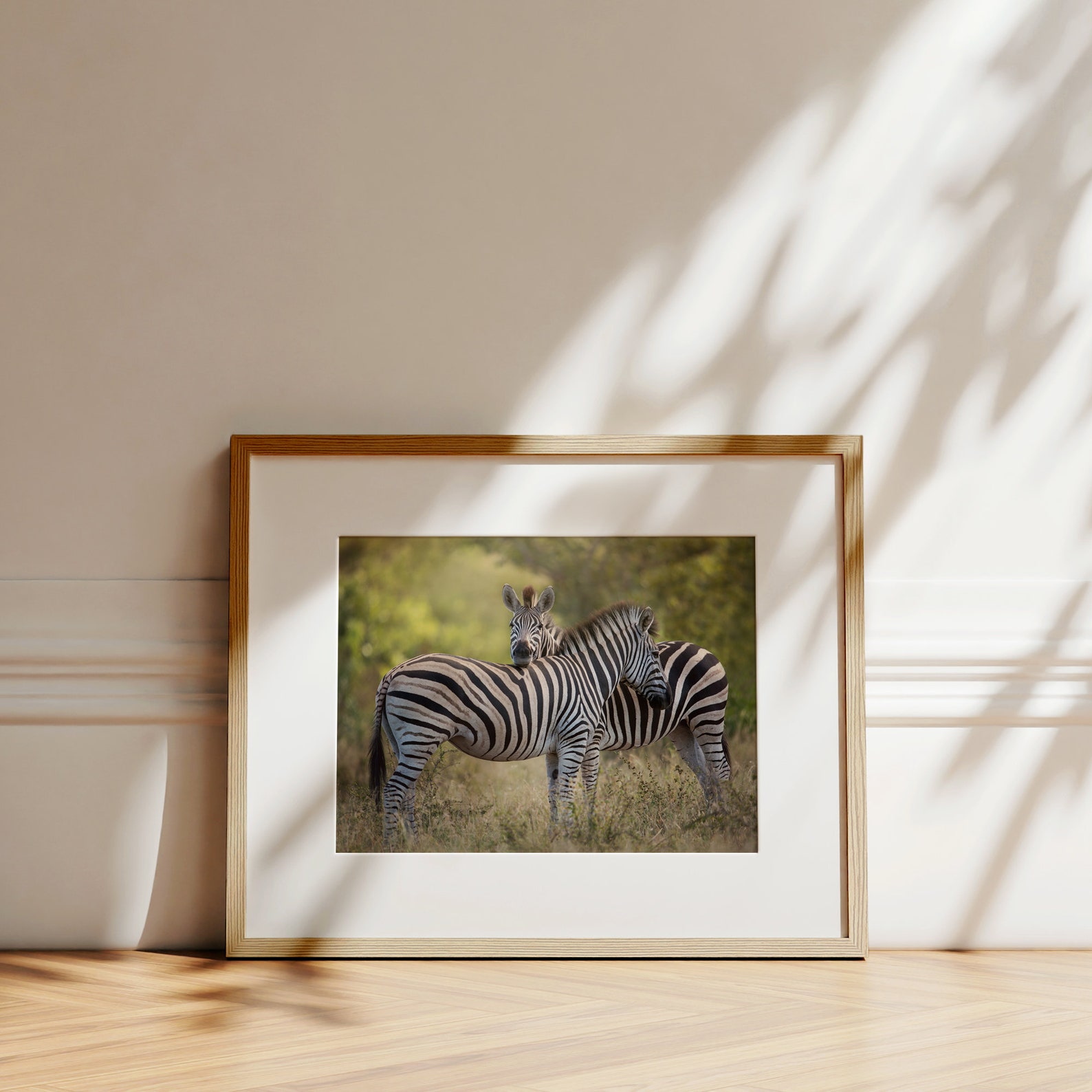 Zebra Hug, Wildlife Photography, Animal Photo Print, Nature Wall Art - Etsy