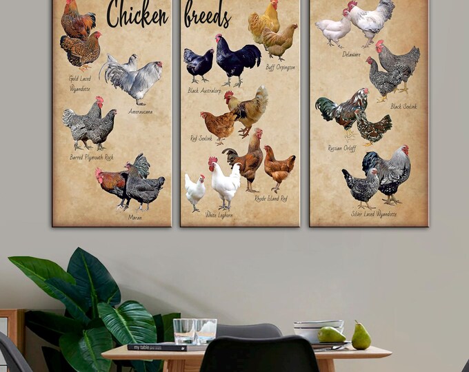 Chicken Breeds Chart Print - Vintage Poultry Print - Chicken Poster ...