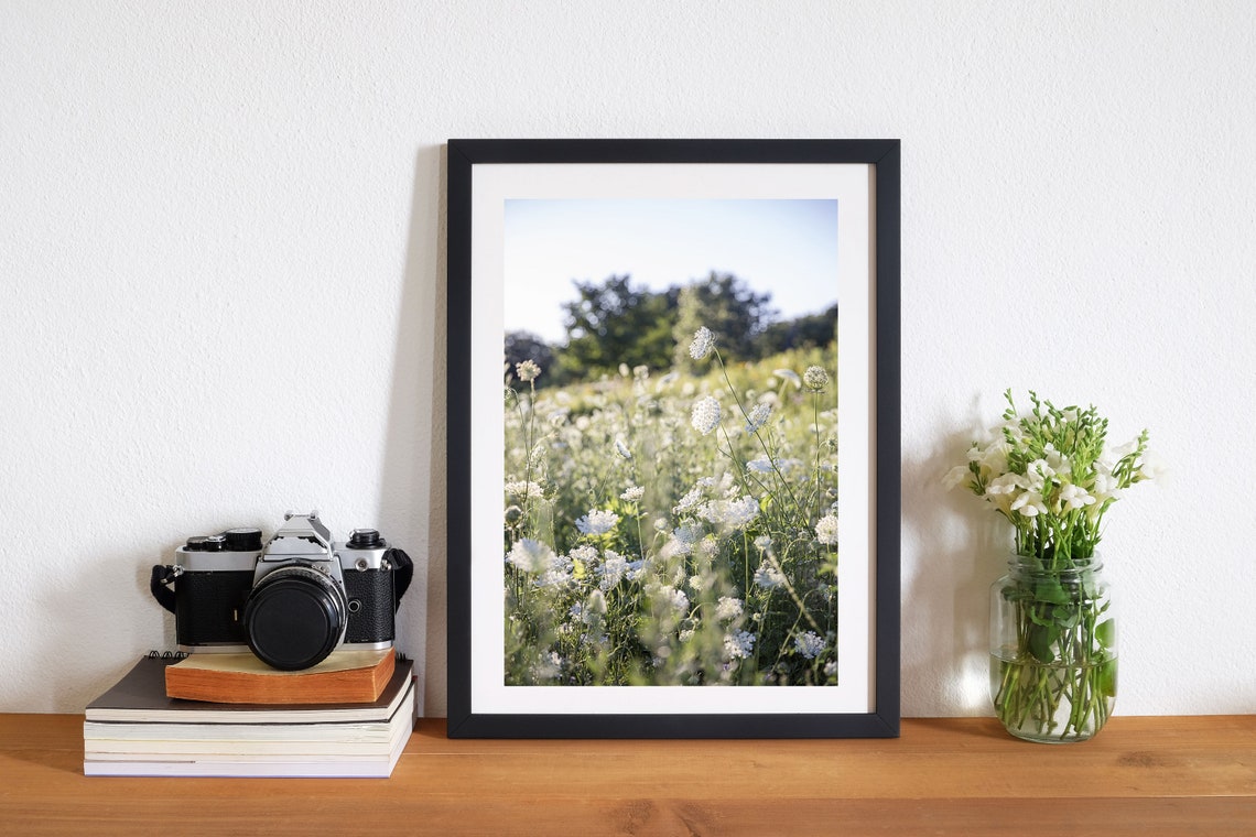 Wildflower Field Print, Photography Art Print, Digital Download Photo ...