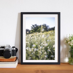 Wildflower Field Print, Photography Art Print, Digital Download Photo ...