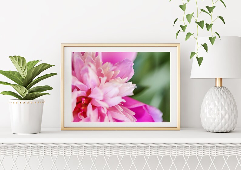Pink Peony Print, Photography Art Print, Digital Download Photo, Frame ...