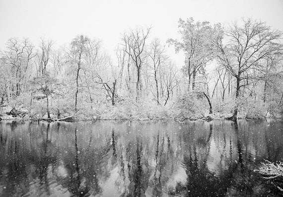 Winter Trees Reflection Print photography art print digital | Etsy