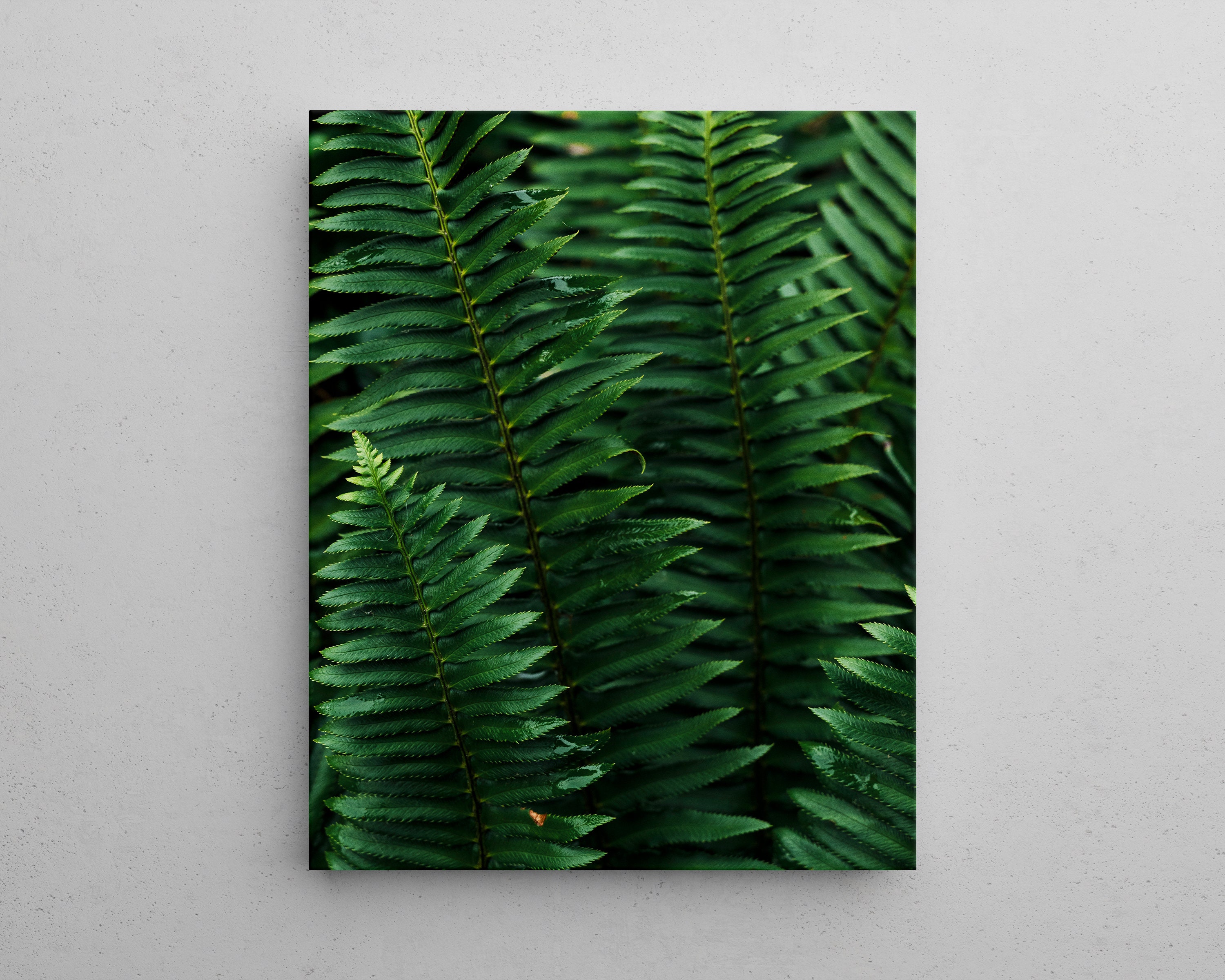 Lush Green Fern Aesthetic Pattern Forest Canvas Print - Beautiful ...
