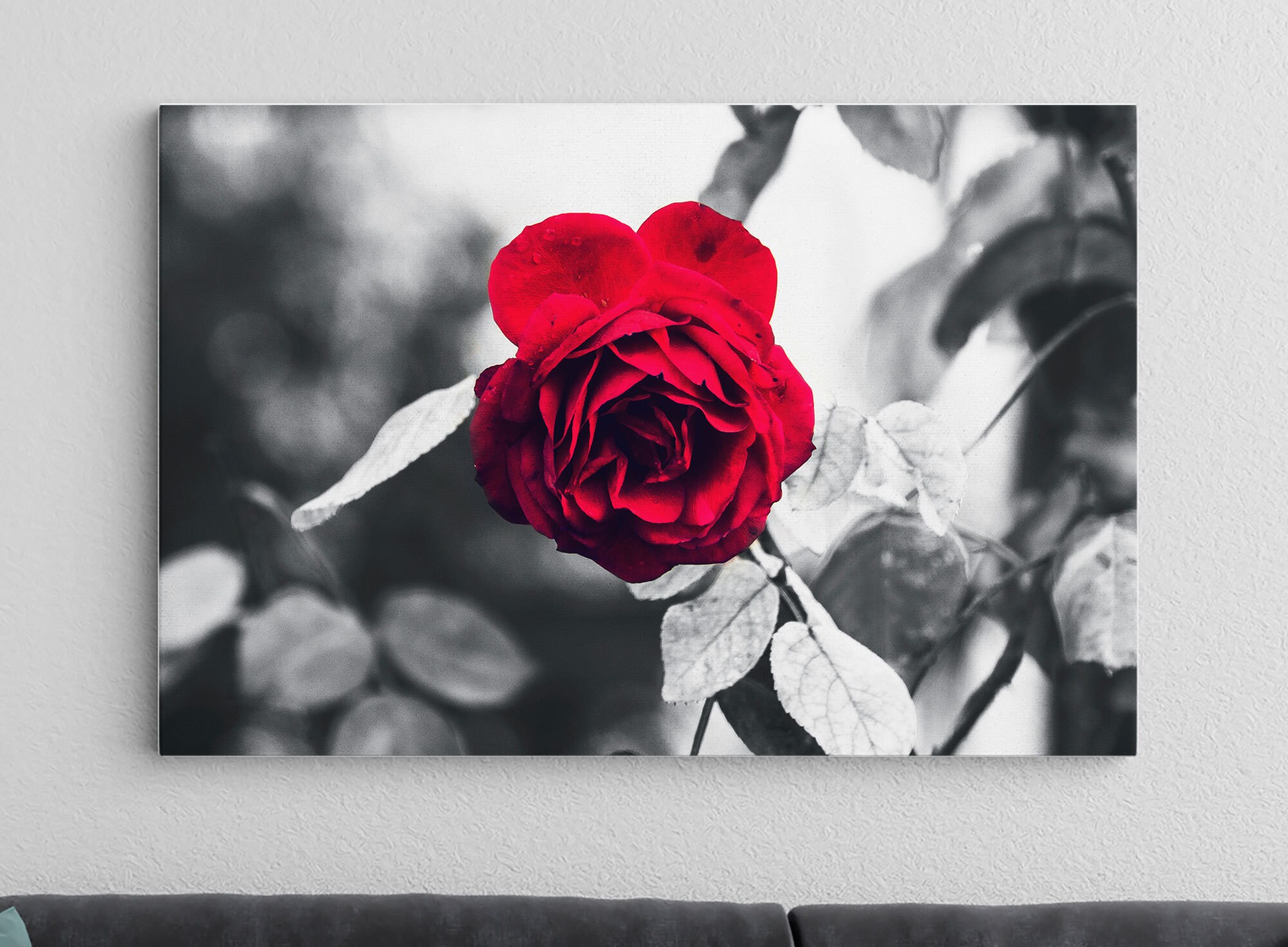Crimson Rose Large Print Canvas Photograph Beautiful Red Rose Home ...