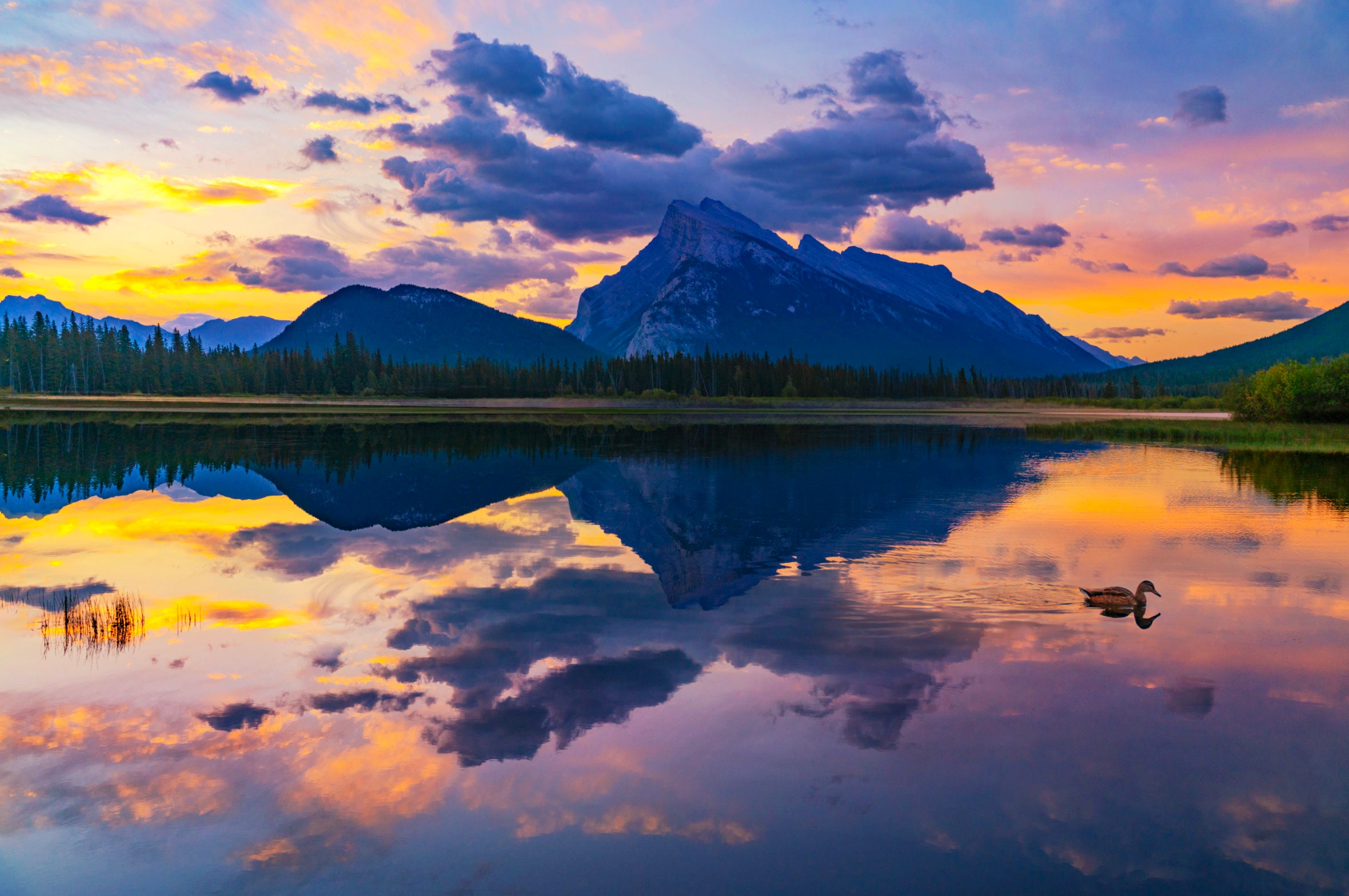 Mountain Lake Mural Housewarming Gift Original Photography Wall Decor ...