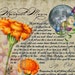 GREEN WITCH Grimoire Page Printable PDF Digital Download for Herbal ...