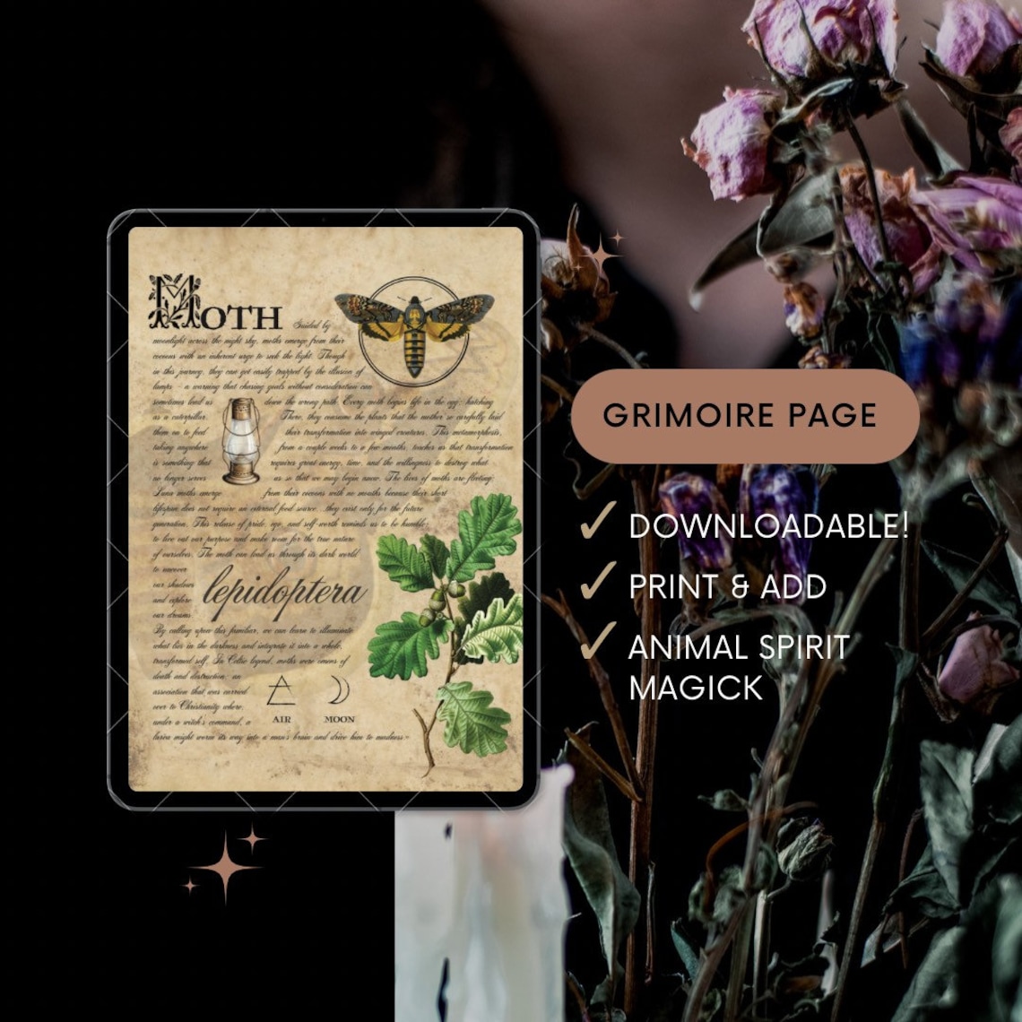MOTH Grimoire Page Printable PDF Digital Download for Familiars Animal Spirit Guides for Magick ...