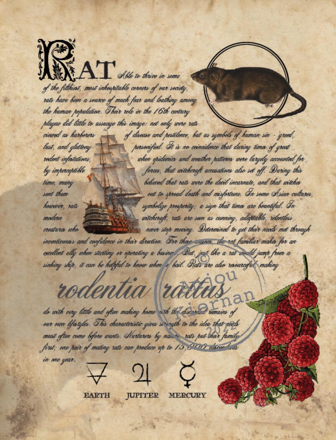 RAT Grimoire Page ~ Printable PDF Digital Download for Familiars ...